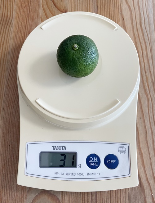 30gはどのくらいの量？野菜や調味料など家にある30gのもの