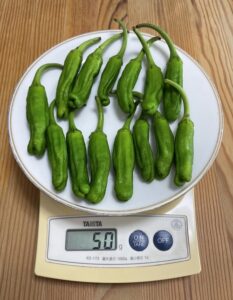 50gはどのくらい？野菜 A4用紙など家にある50グラムのもの